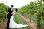{Sam and Bryan} Childress Vineyards Wedding Photographer | Charlotte NC ...